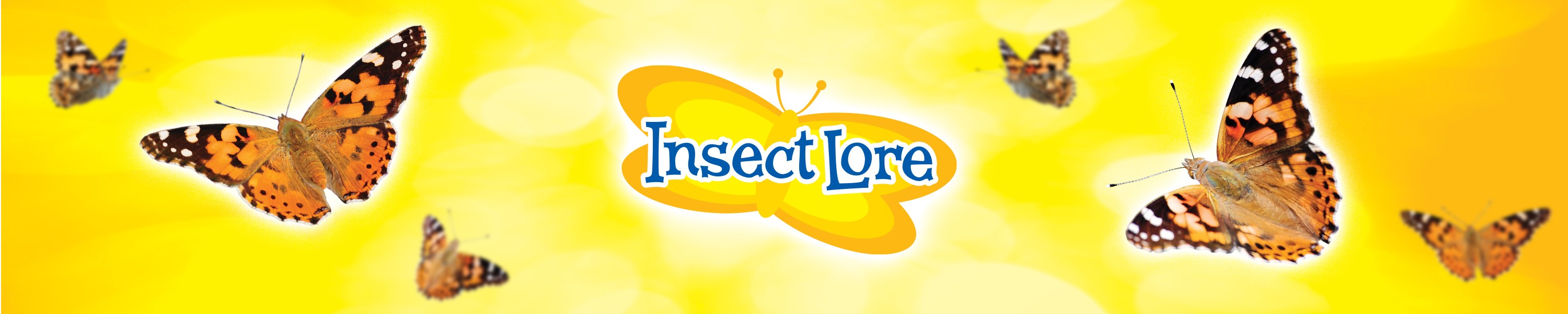 Amazon.com: Insect Lore: Deals