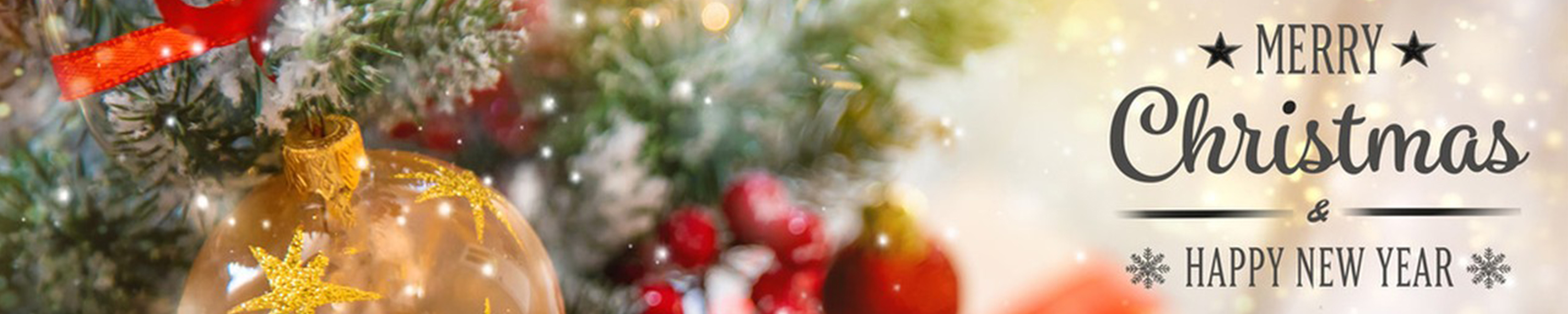 Amazon.com: ELONG HOME: Christmas Tree