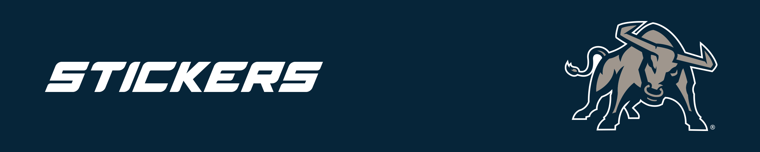 Amazon.com: Utah State University: Stickers
