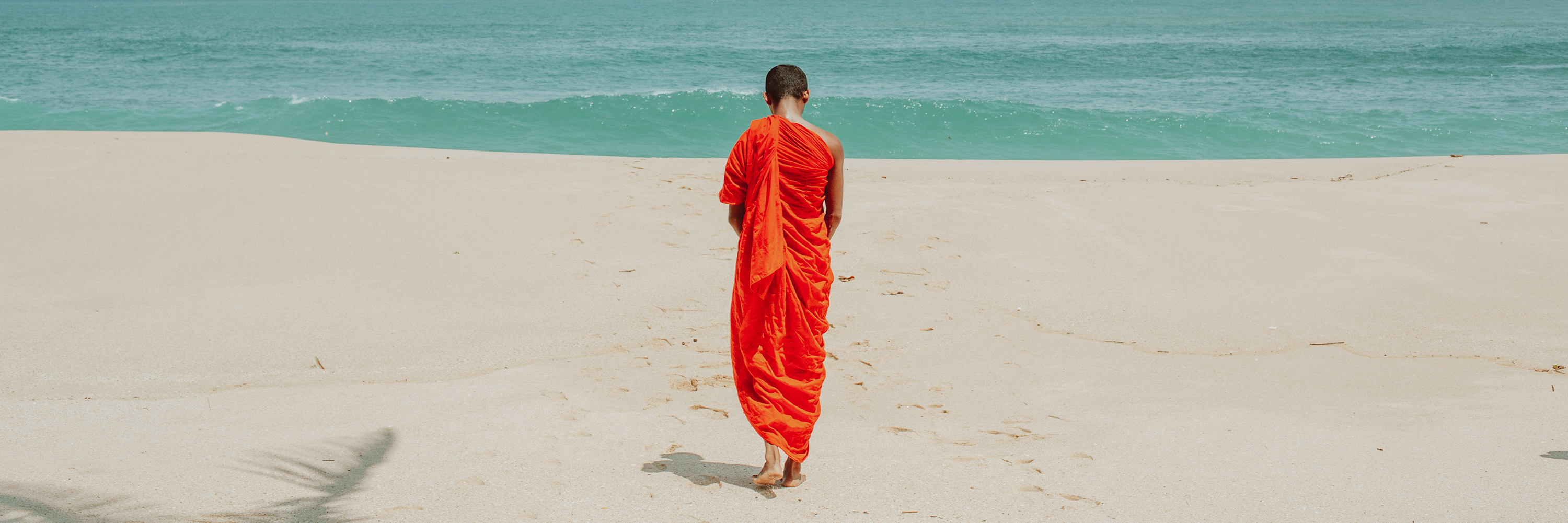 Amazon.com: ZenBless: ABOUT