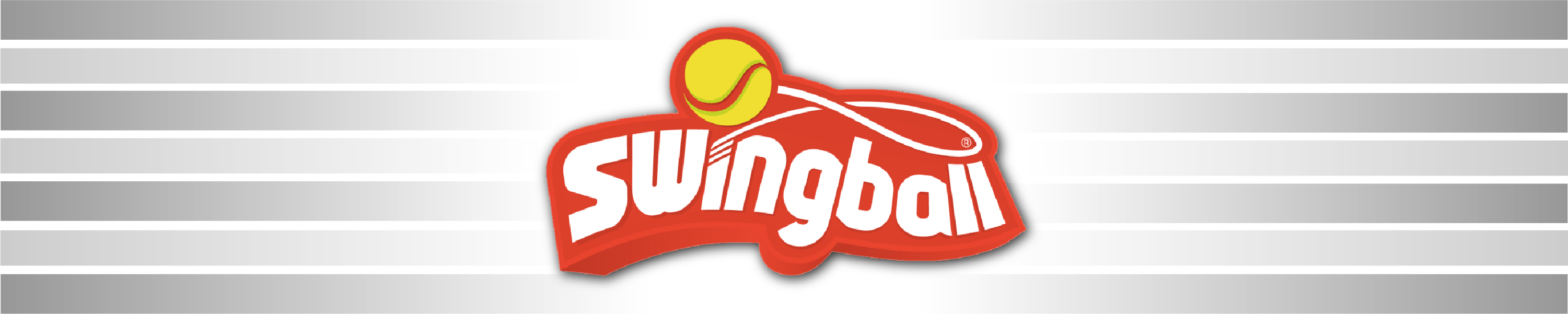 Amazon.com: NSG: Swingball