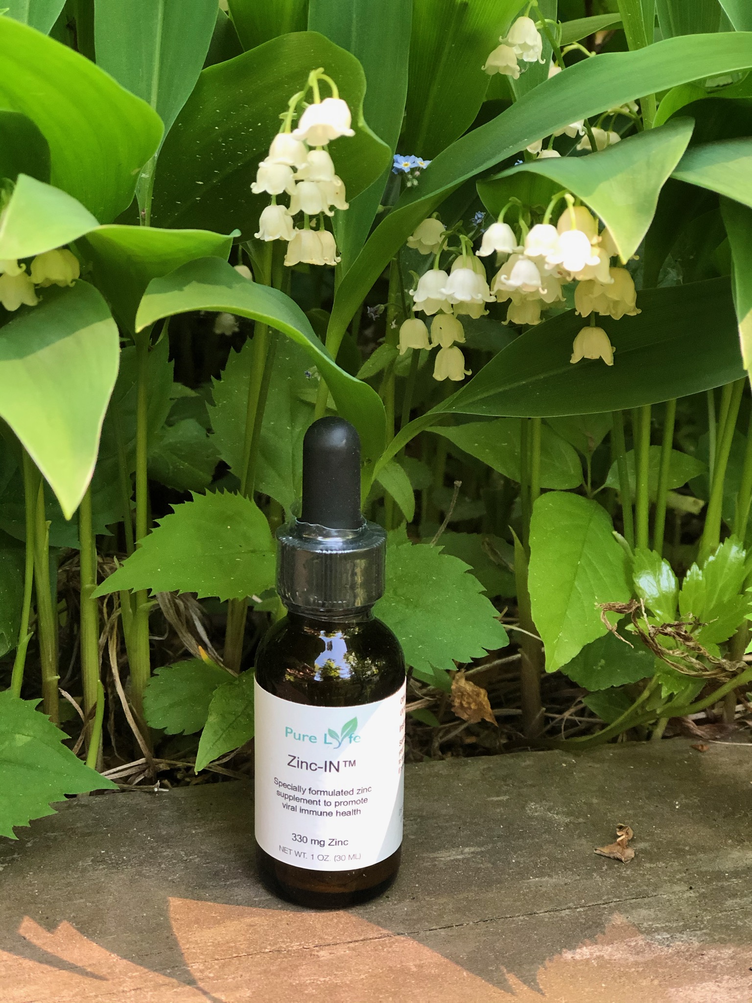 Amazon.com: Pure Lyfe