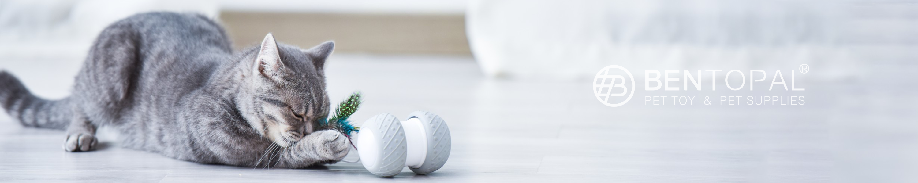 Amazon.com: BENTOPAL: Cat Toy