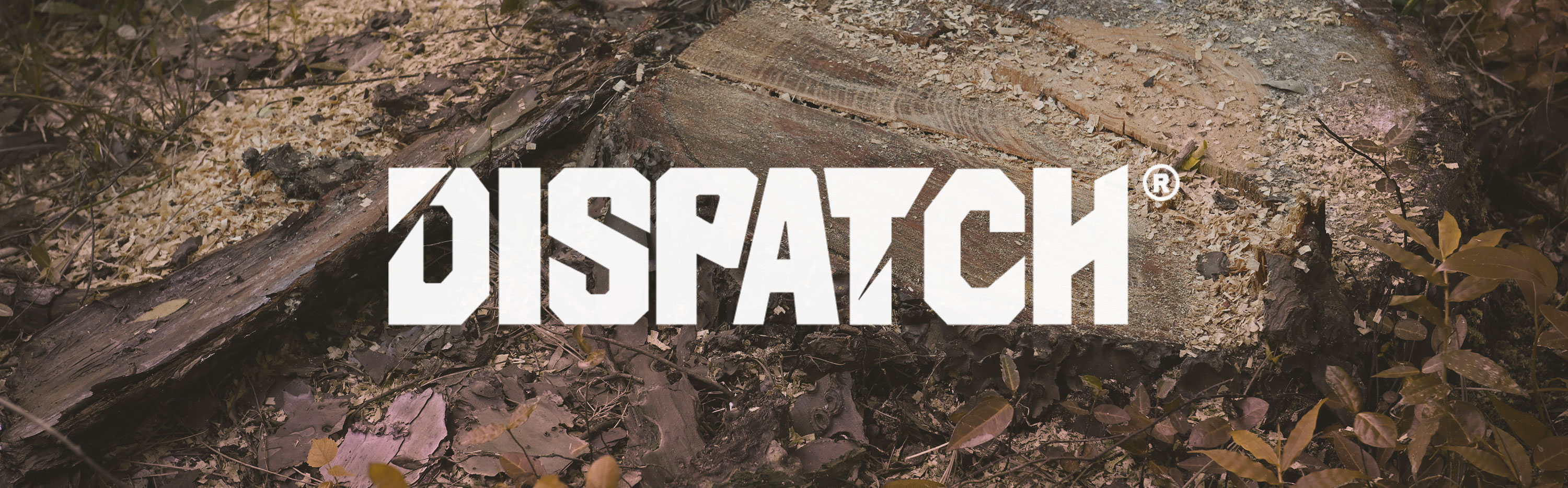 Amazon.com: DISPATCH : Shovel