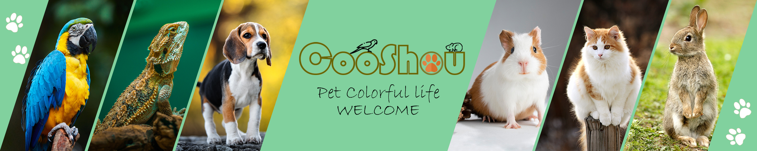 Amazon.com: CooShou