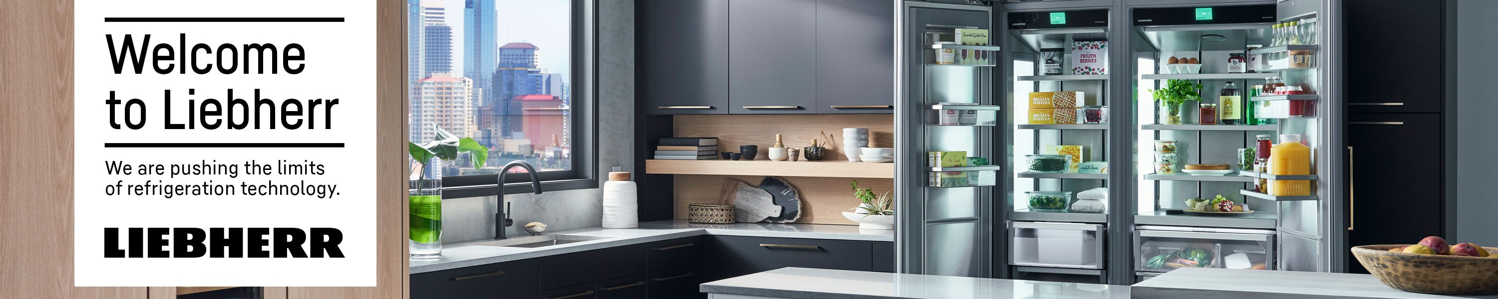 Amazon.com: Liebherr Appliances