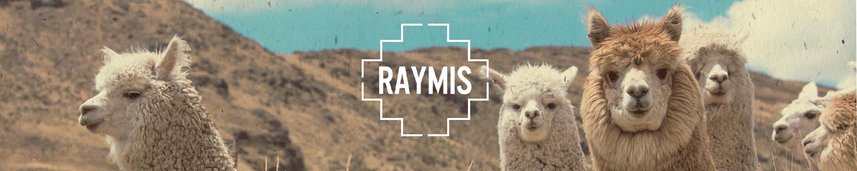 Amazon.com: RAYMIS