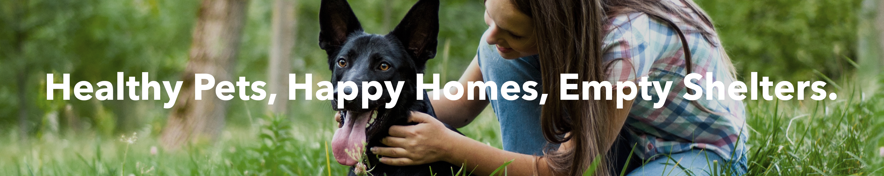 Amazon.com: iHeartDogs