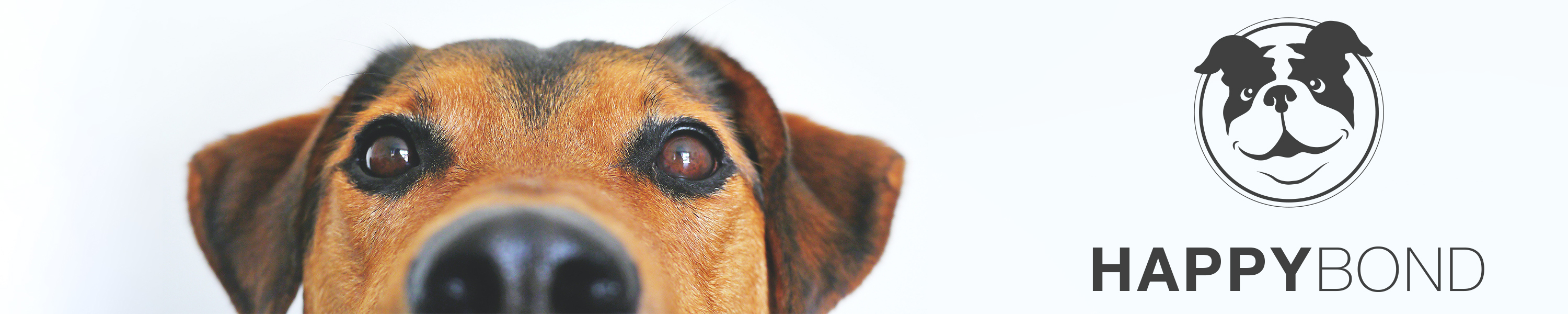 Amazon.com: Happy Bond