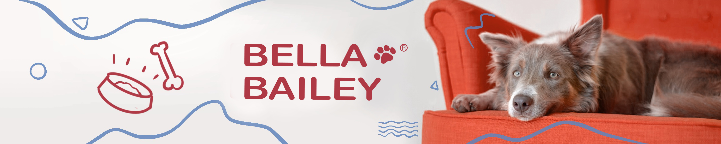 Amazon.com: bellabailey