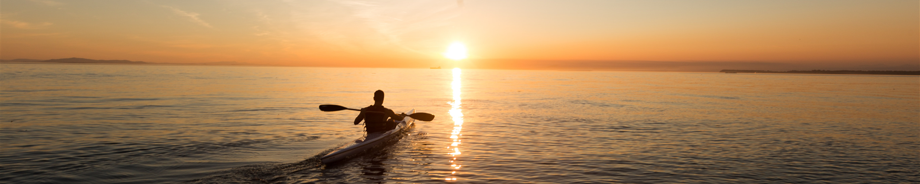 Amazon.com: WDAM: KAYAK CART