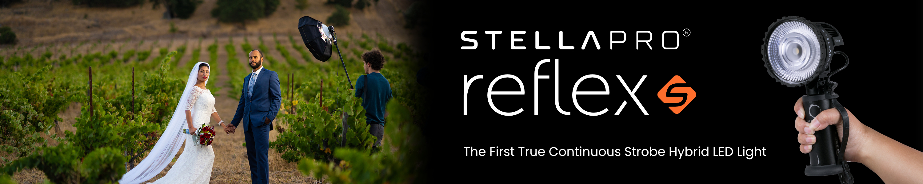 Amazon.com: StellaPro