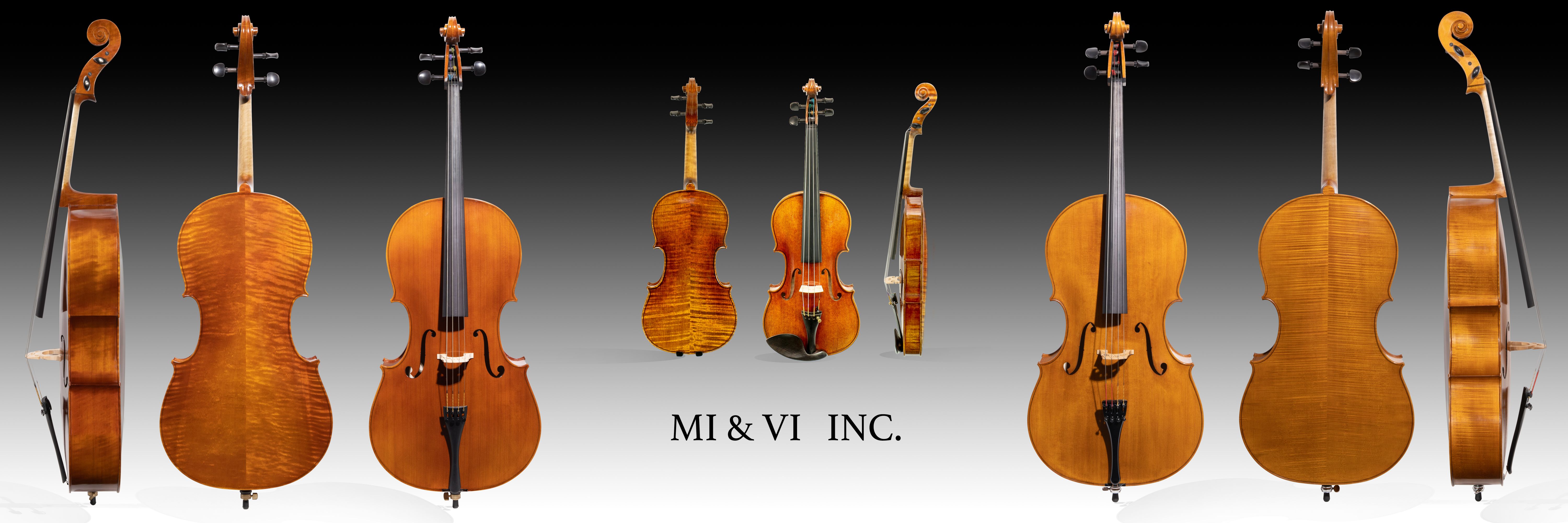 Amazon.com: MI & VI Music: Violin Cases