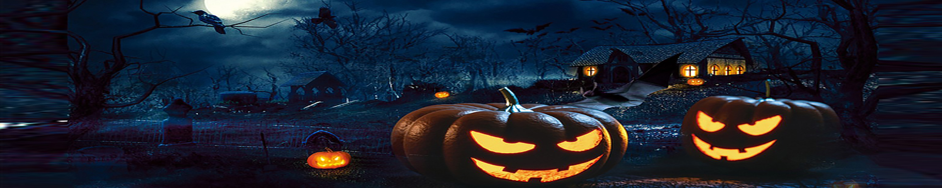 Amazon.com: DUTUT: Fall shirt