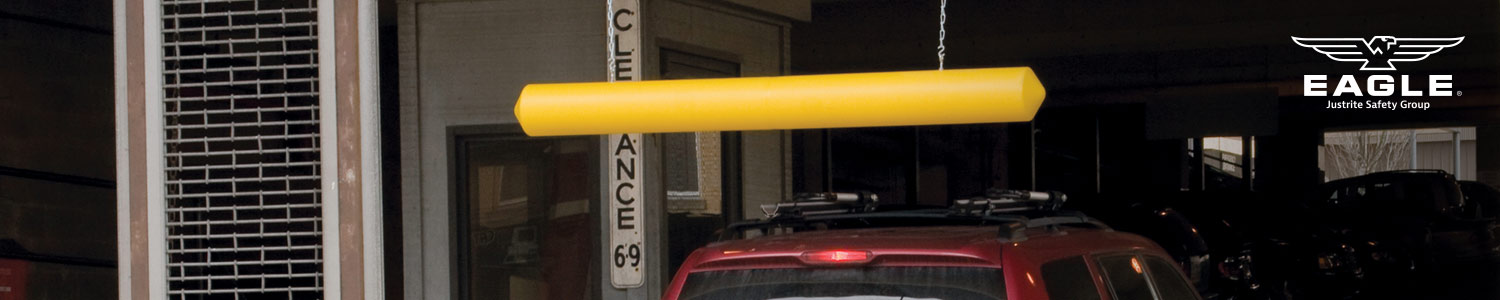 Amazon.com: Eagle: Guards and Protectors