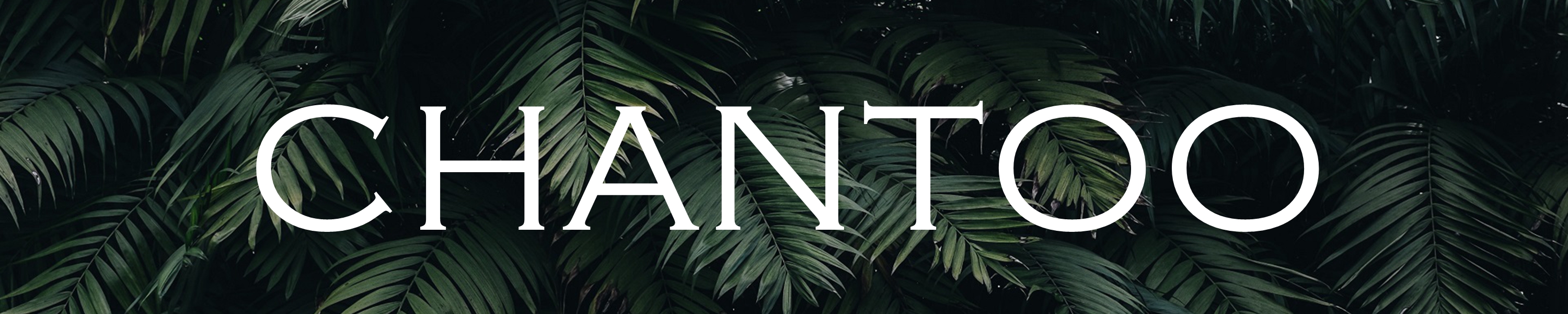 Amazon.com: Chantoo: Palm Tree