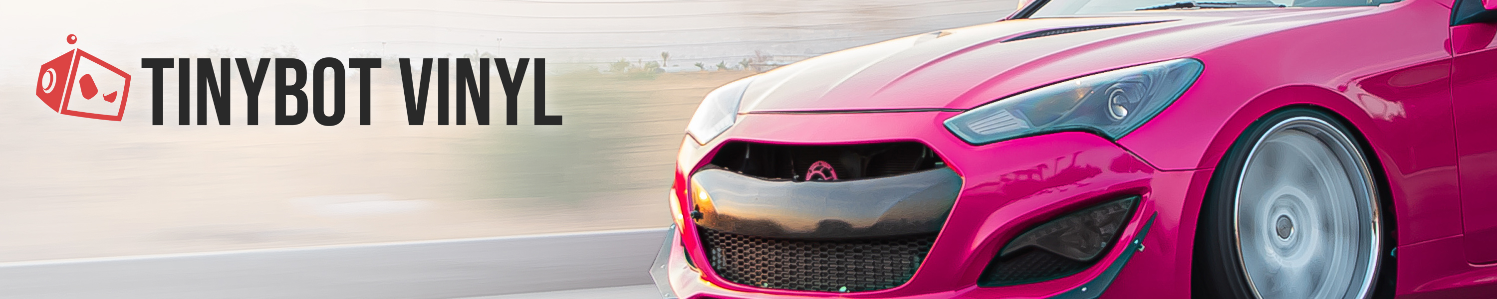 Amazon.com: TINYBOT VINYL