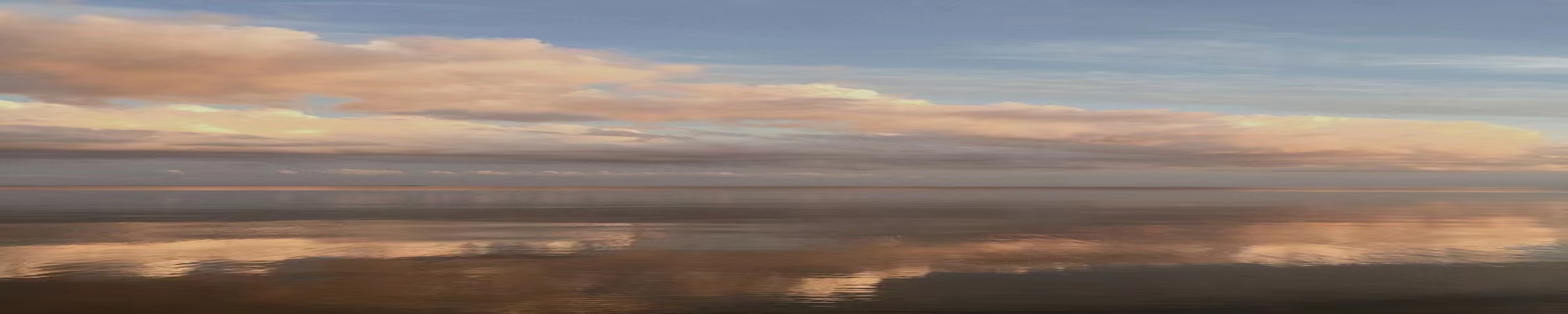 Amazon.com: Merior customised wild fishing