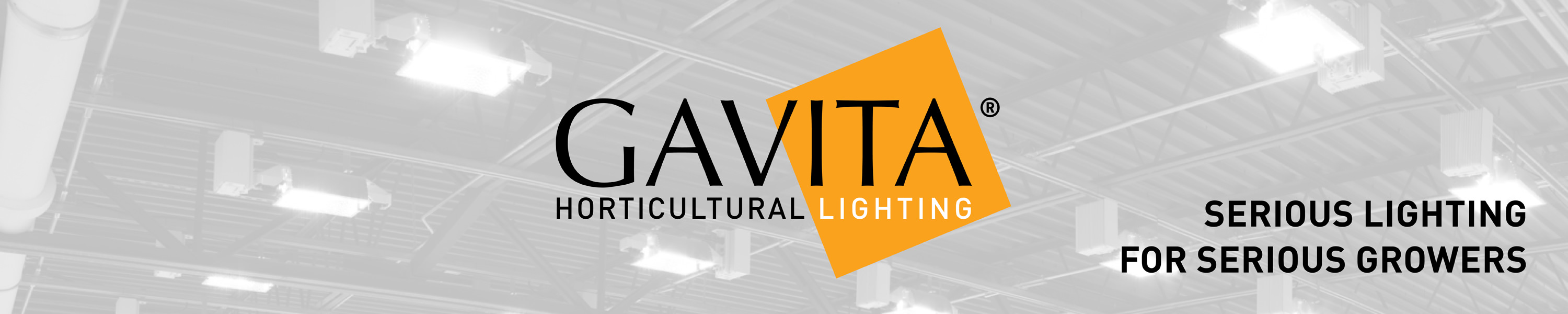 Amazon.com: Gavita: HPS LIGHTS