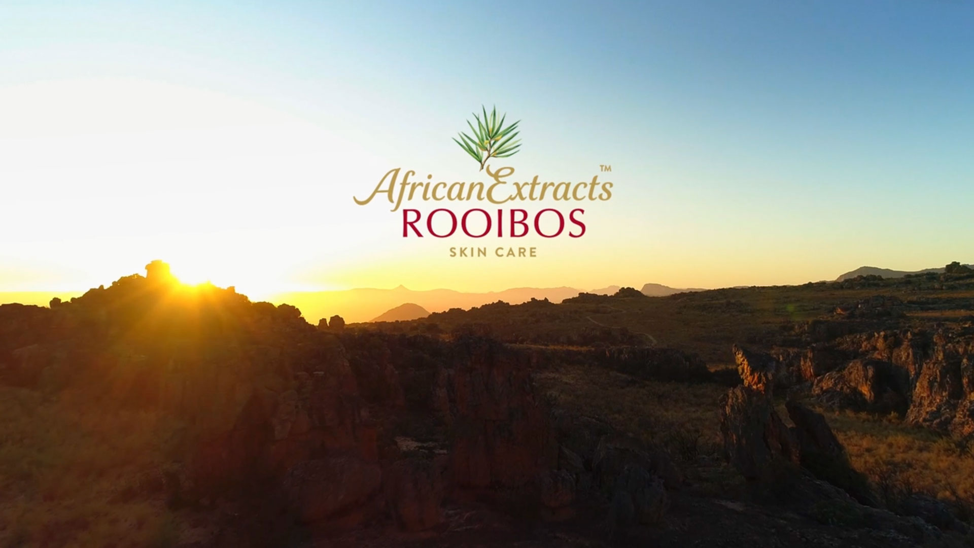 Amazon.com: African Extracts Rooibos: Scrub