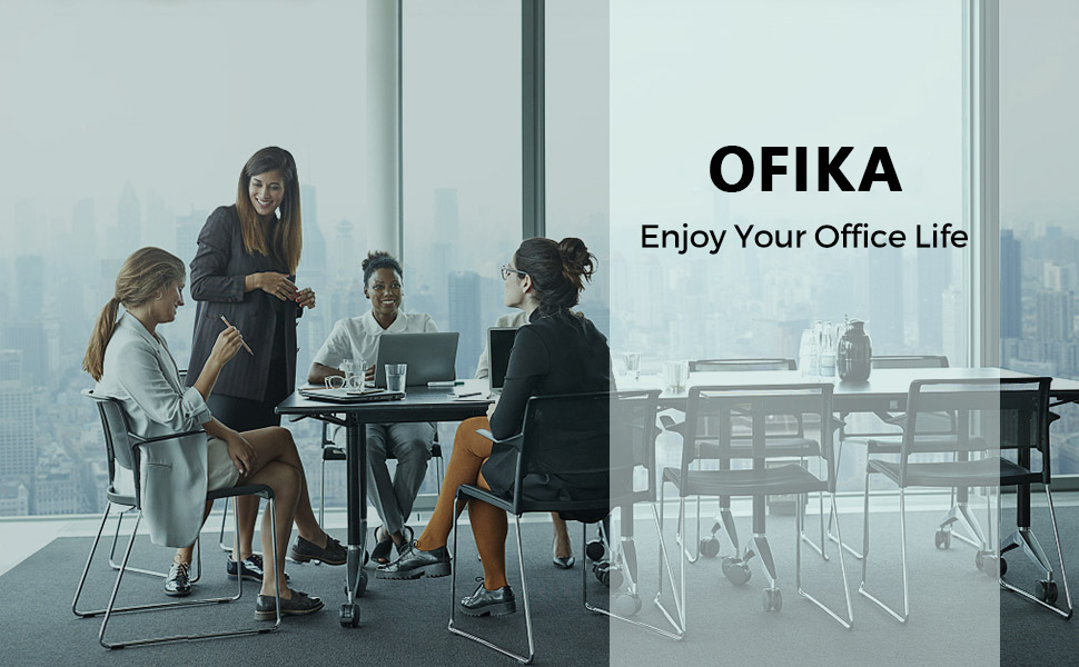 Amazon.com: OFIKA : Office chair