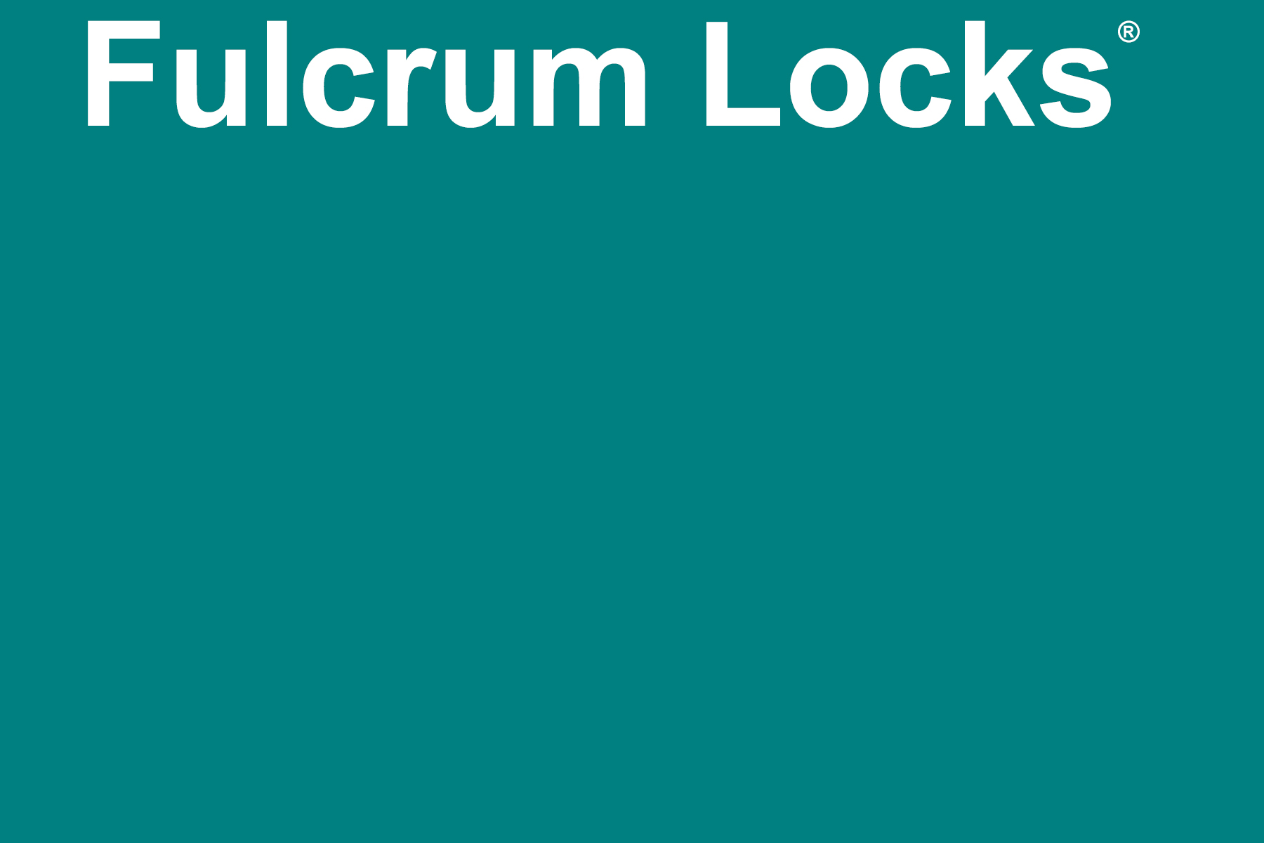 Amazon.com: Fulcrum Locks
