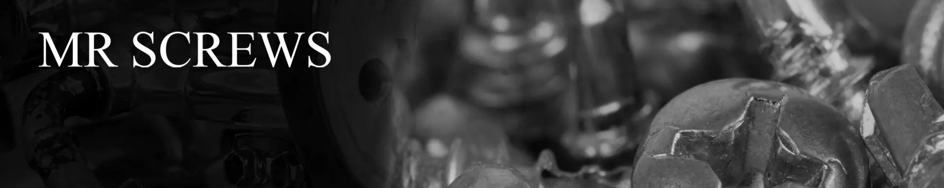 Amazon.com: MR SCREWS