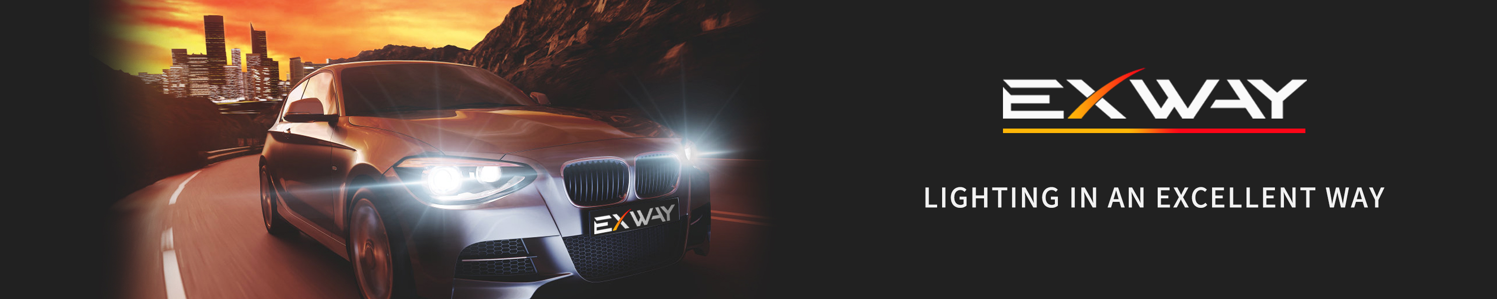Amazon.com: EXWAY