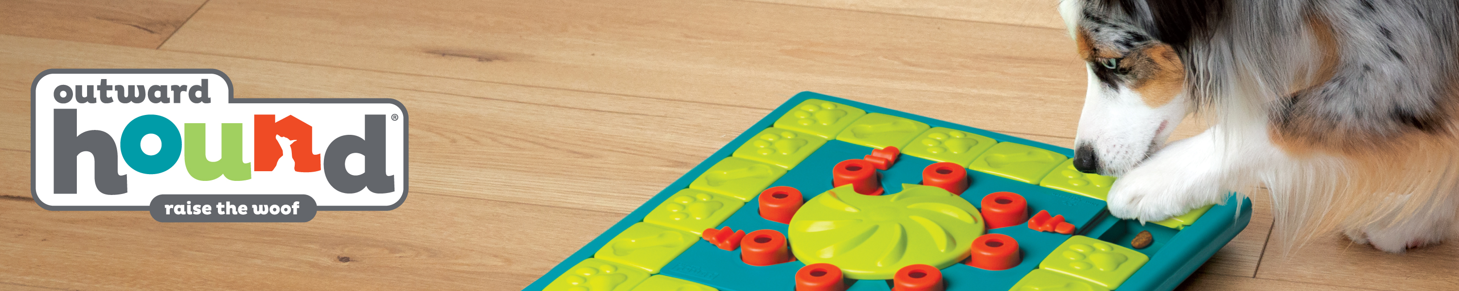 Amazon.ca: Outward Hound : Level 4 Treat Puzzles