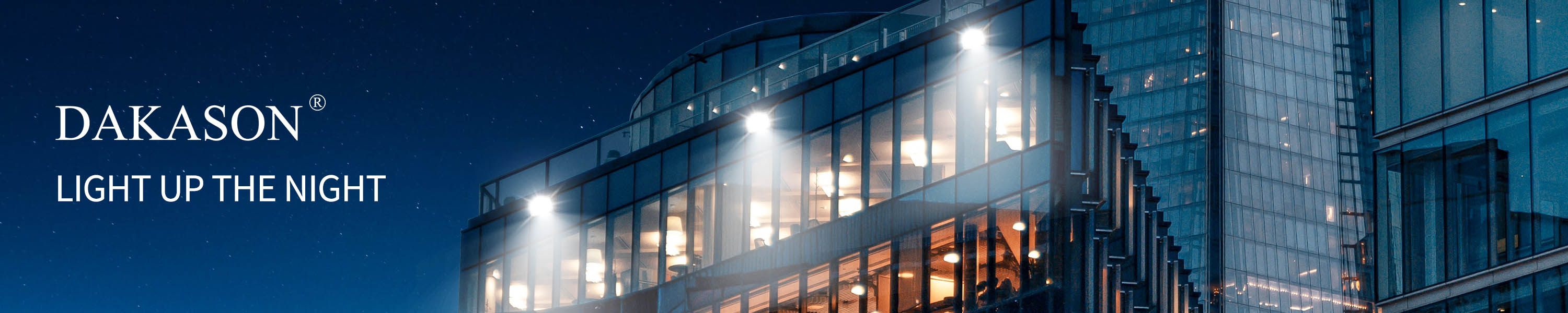 Amazon.ca: DAKASON: Ceiling Light