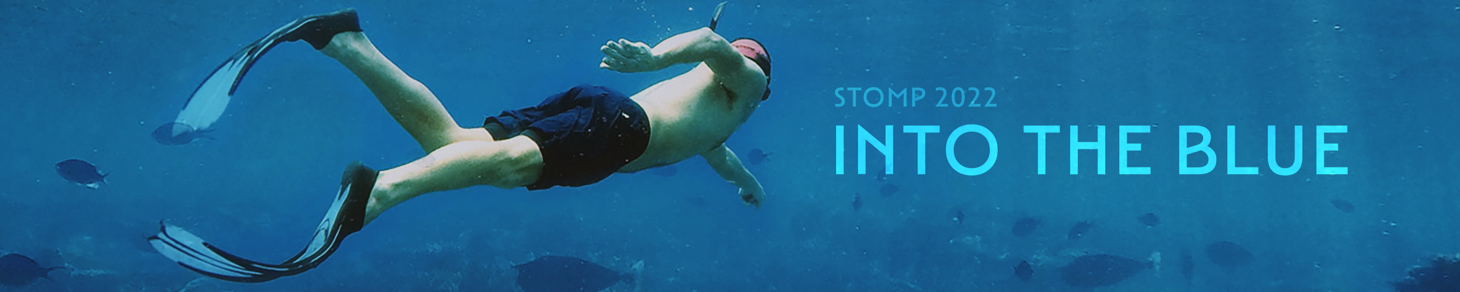 Amazon.com: STOMP: Water Sport Gear