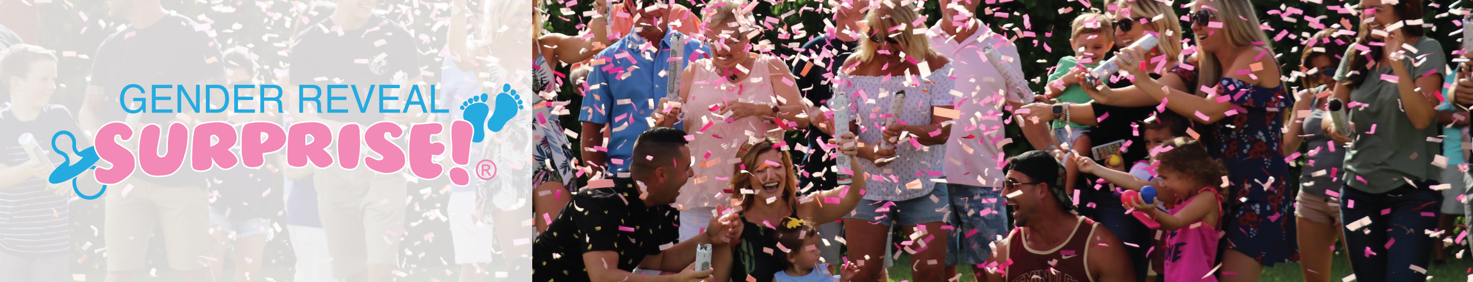 Amazon.com: Gender Reveal Surprise: Powder Cannons