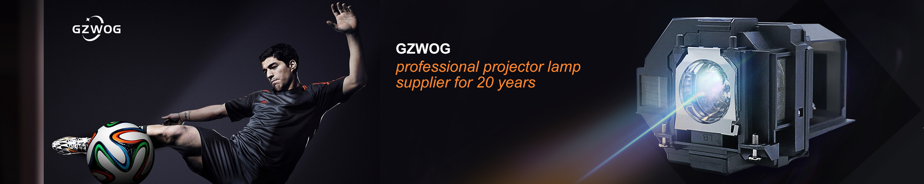 Amazon.com: Gzwog Projector Lamp/Bulb: HITACHI LAMPS