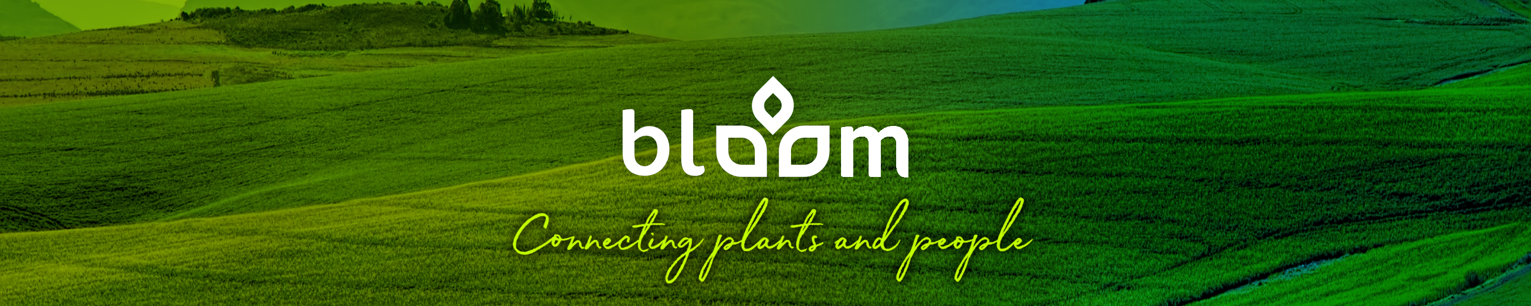 Amazon.com: Bloom Health: ABOUT US