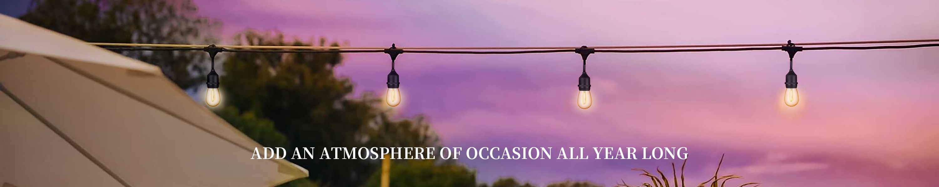 Amazon.com: Svater: S14 String Lights