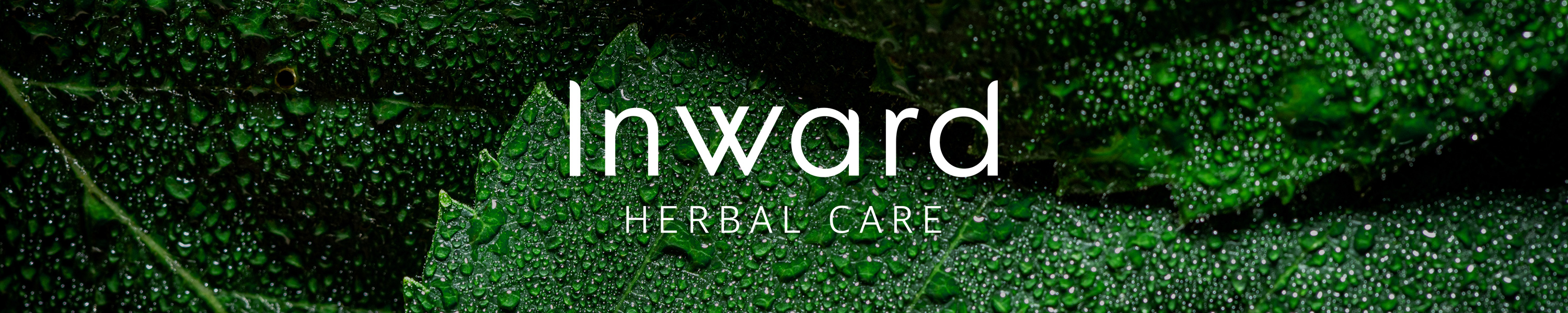 Amazon.com: Inward: acne clinical test