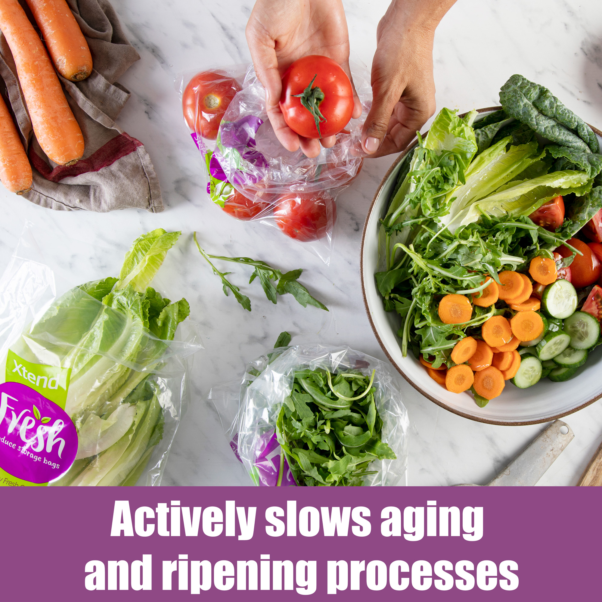 Amazon.com: Fresh: About StePac