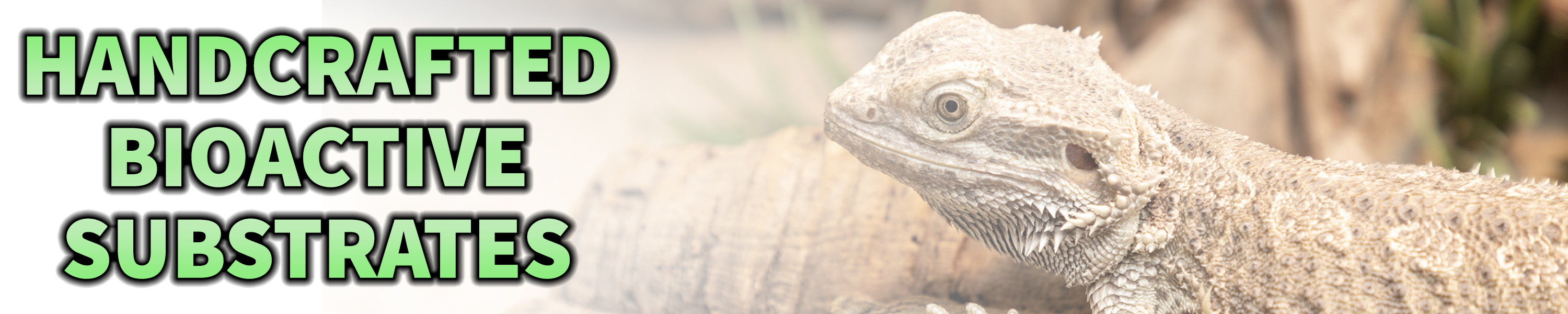 Amazon.com: The Bio Dude : Handcrafted Bioactive Substrates