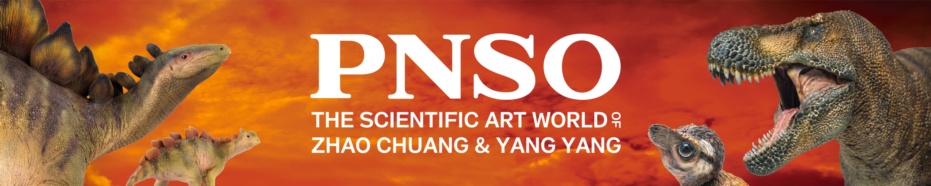 Amazon.com: PNSO