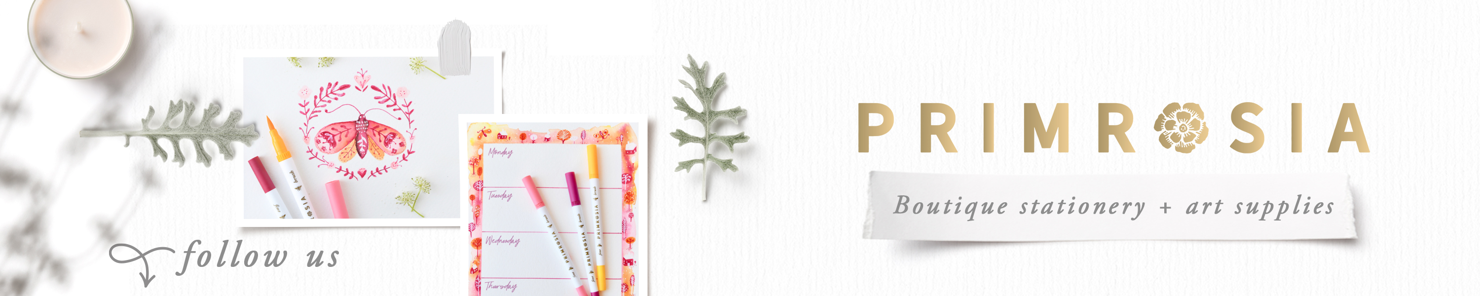 Amazon.com: Primrosia