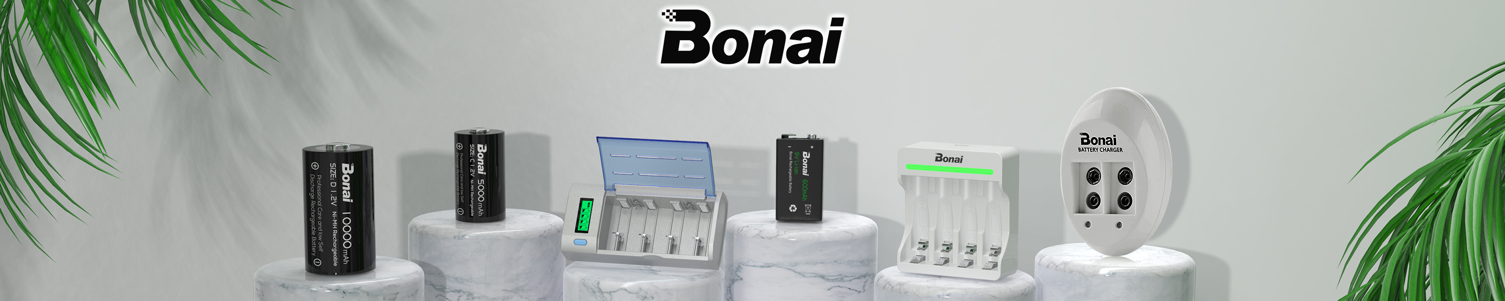 Amazon.com: BONAI: C D 9V Battery and Charger