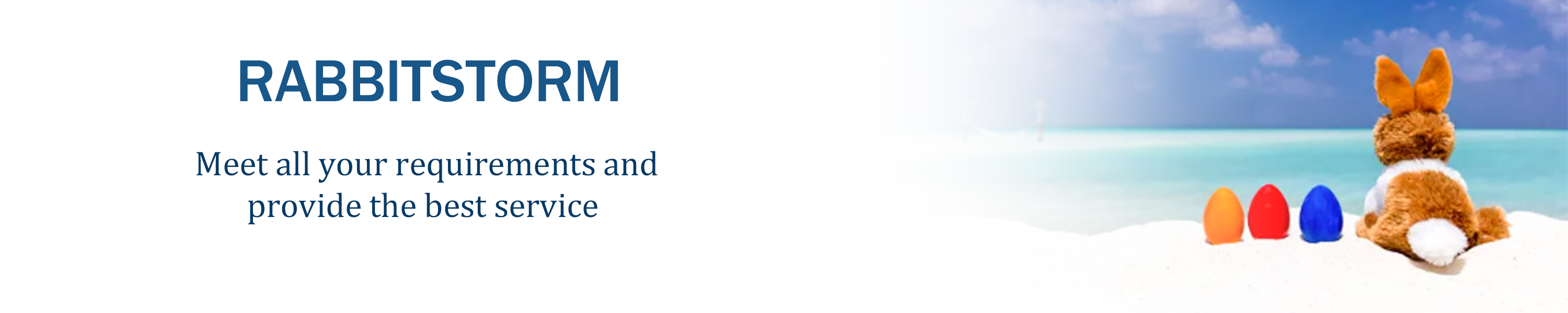 Amazon.com: RABBIT STORM