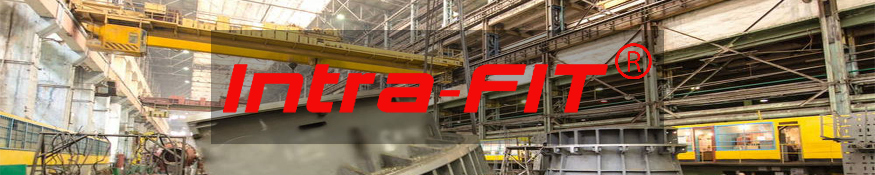 Amazon.com: Intra-FIT: CADET GLOVES