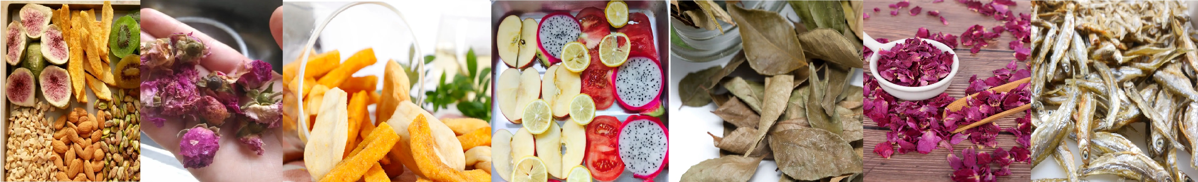 Amazon.com: ANZERWIN: Heated Dog Bed