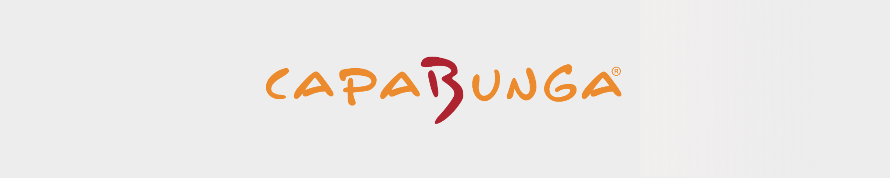 Amazon.com: CapaBunga: Cheese Vaults