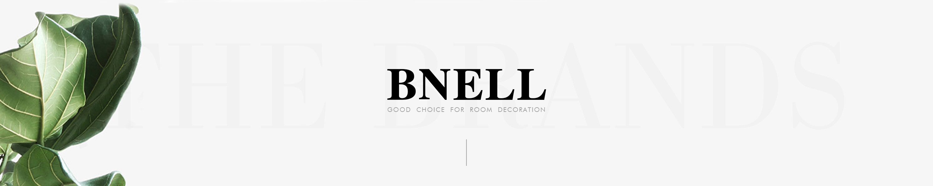 Amazon.com: BNELL
