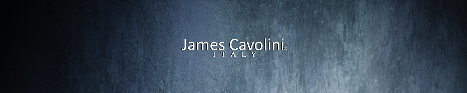 Amazon.com: James Cavolini: Rings