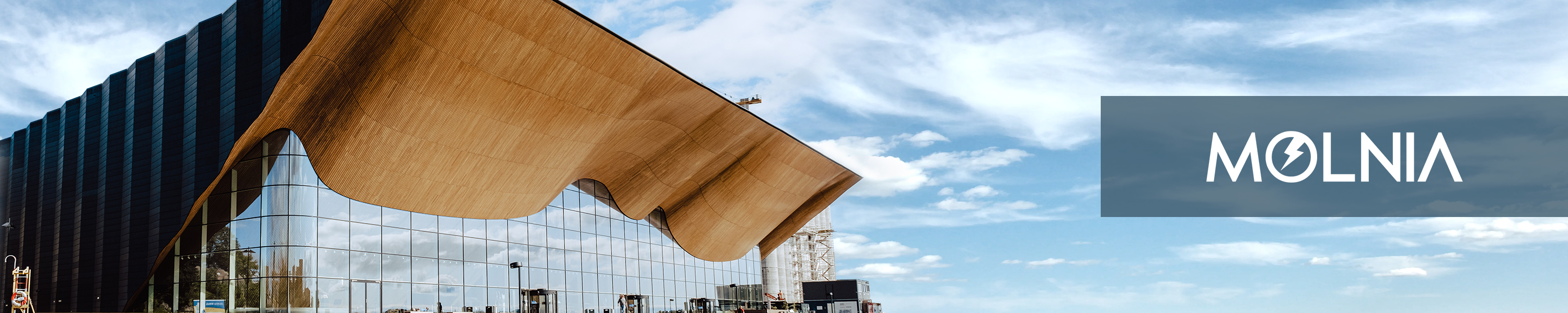 Amazon.com: MOLNIA LIFE