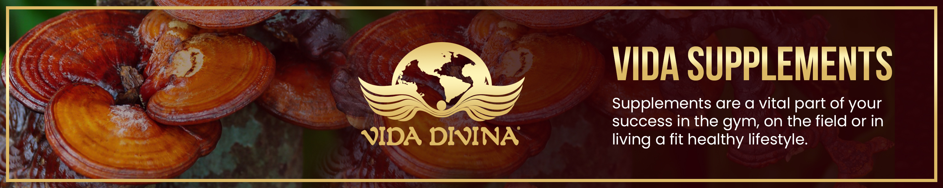 Amazon.com: Vida Divina: Vida Supplements