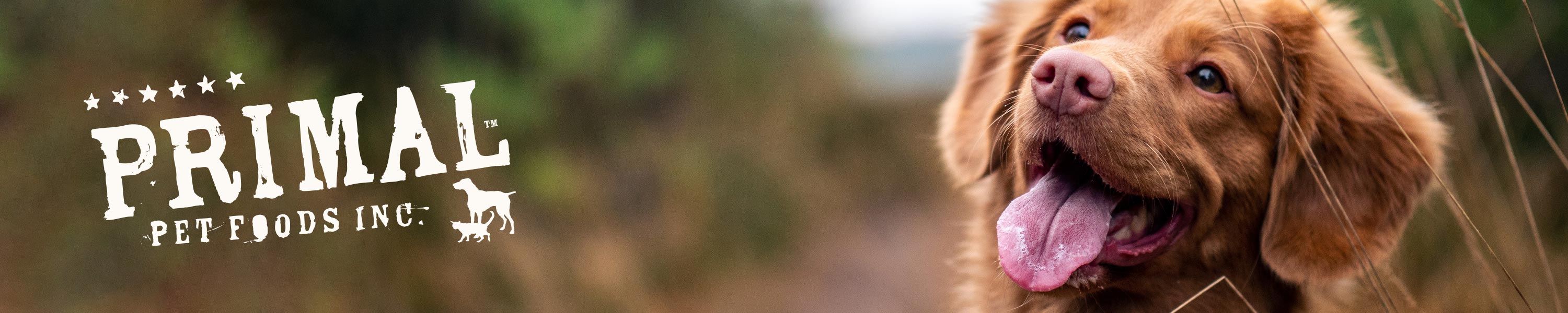 Amazon.com: Primal Pet Foods: Toppers